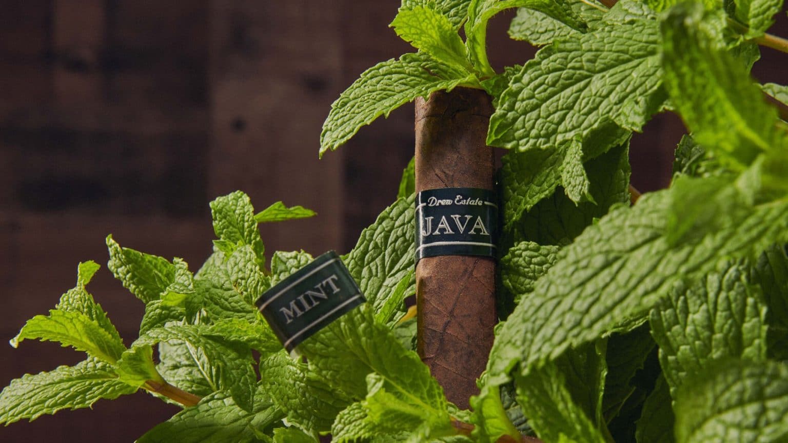 Cigar | Java Mint - Rocky Patel Premium Cigars
