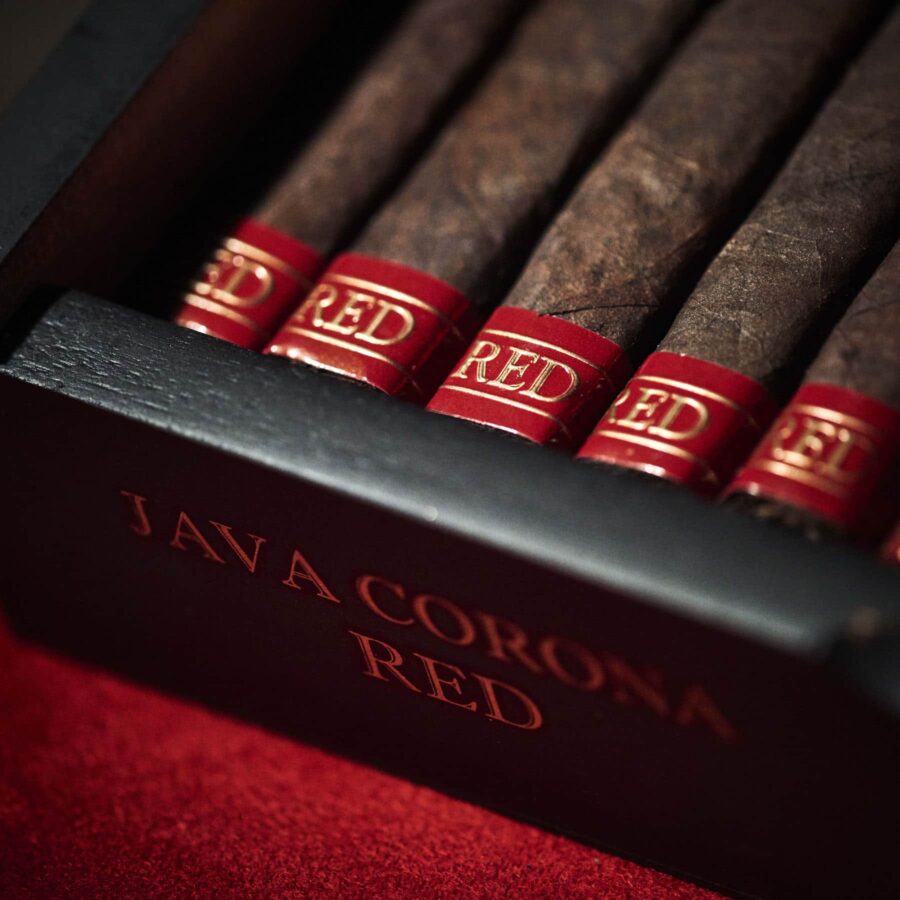 Cigar | Java Red - Rocky Patel Premium Cigars